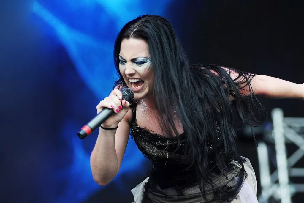 Amy Lee Opens Up About The Losses She Was Dealing With While Working On ...