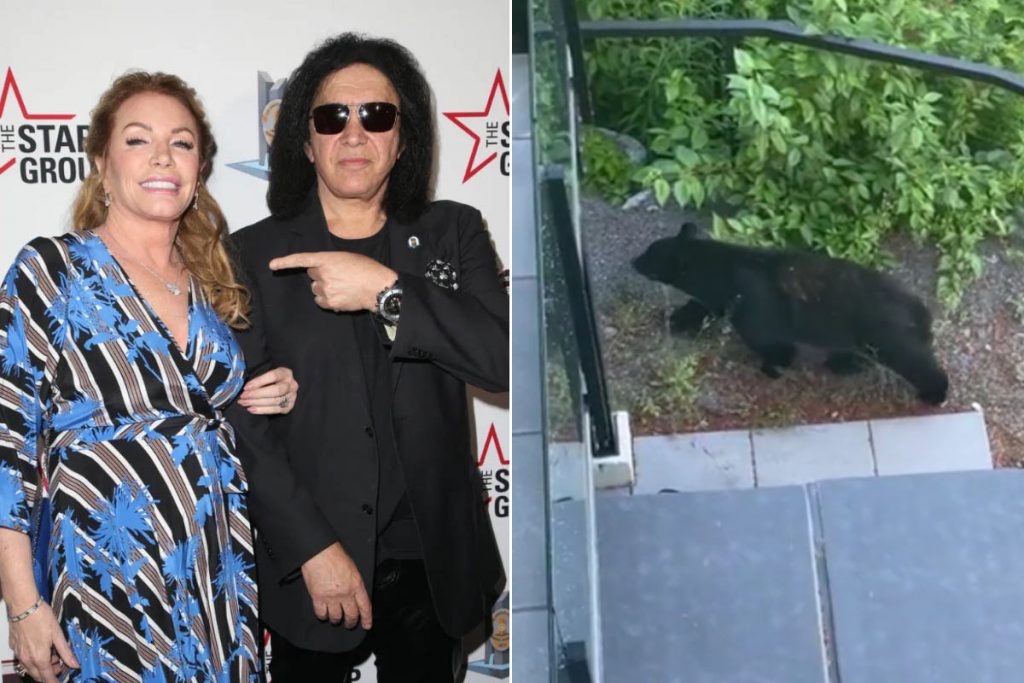 Gene Simmons' Nevada Home Is Invaded By A Wild Bear, Even His Guard Dog ...