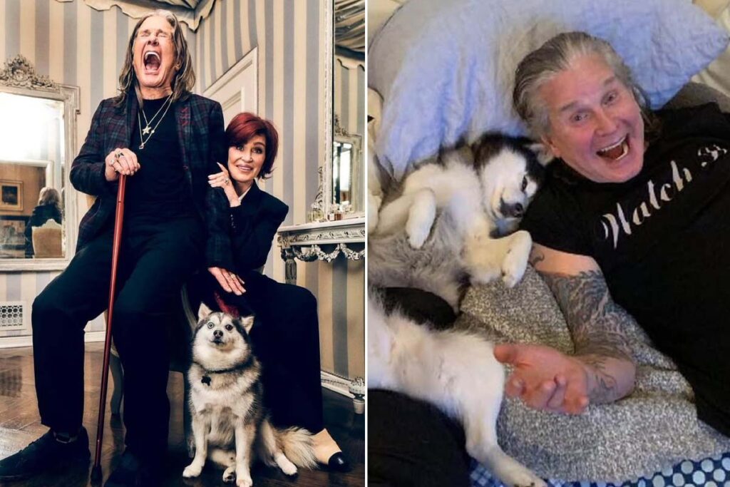 Ozzy Osbourne's Rescue Dog Dies Two Months After His Death, Sharon ...